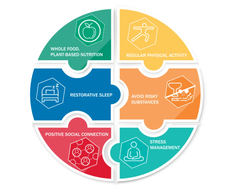 Integrative and Lifestyle Medicine: A Rising Approach to Holistic Health